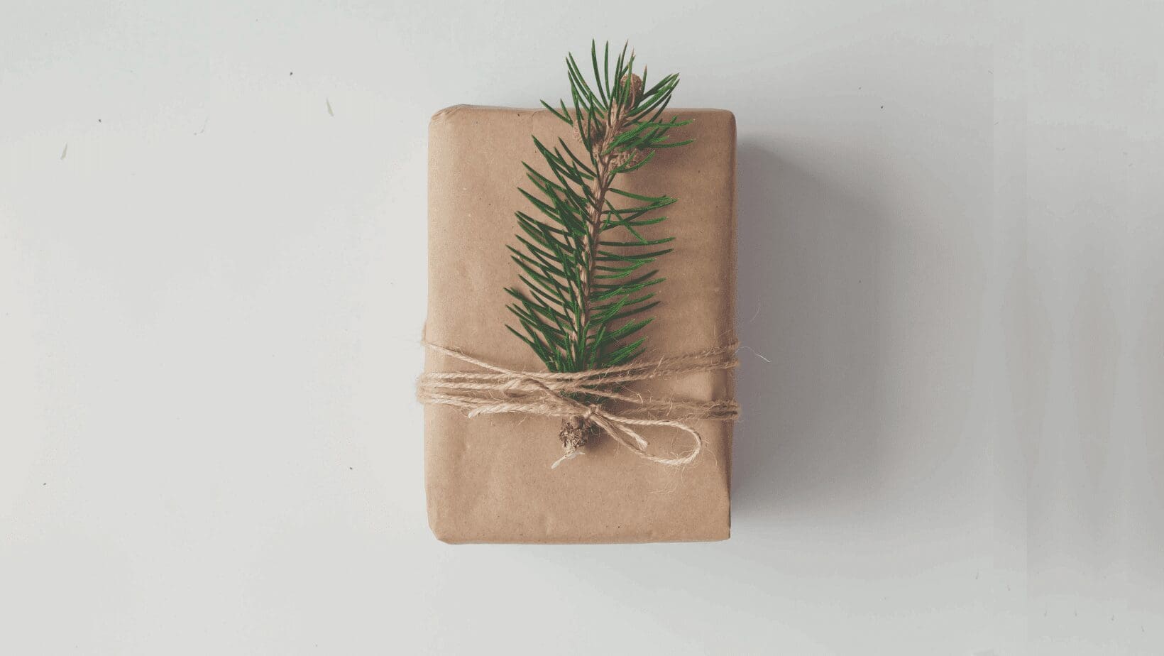 The Gift of Going Green | Coastal Virginia Magazine